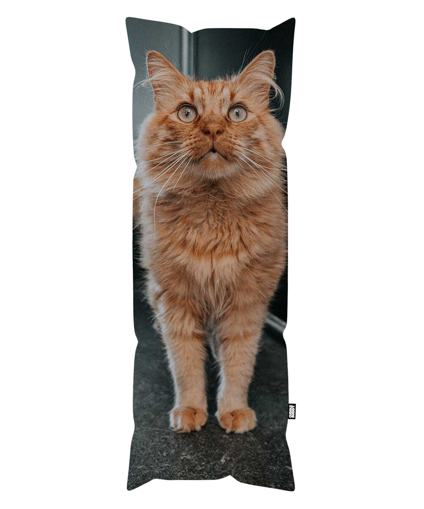 Custom Body Pillows - Cuddle Buddy